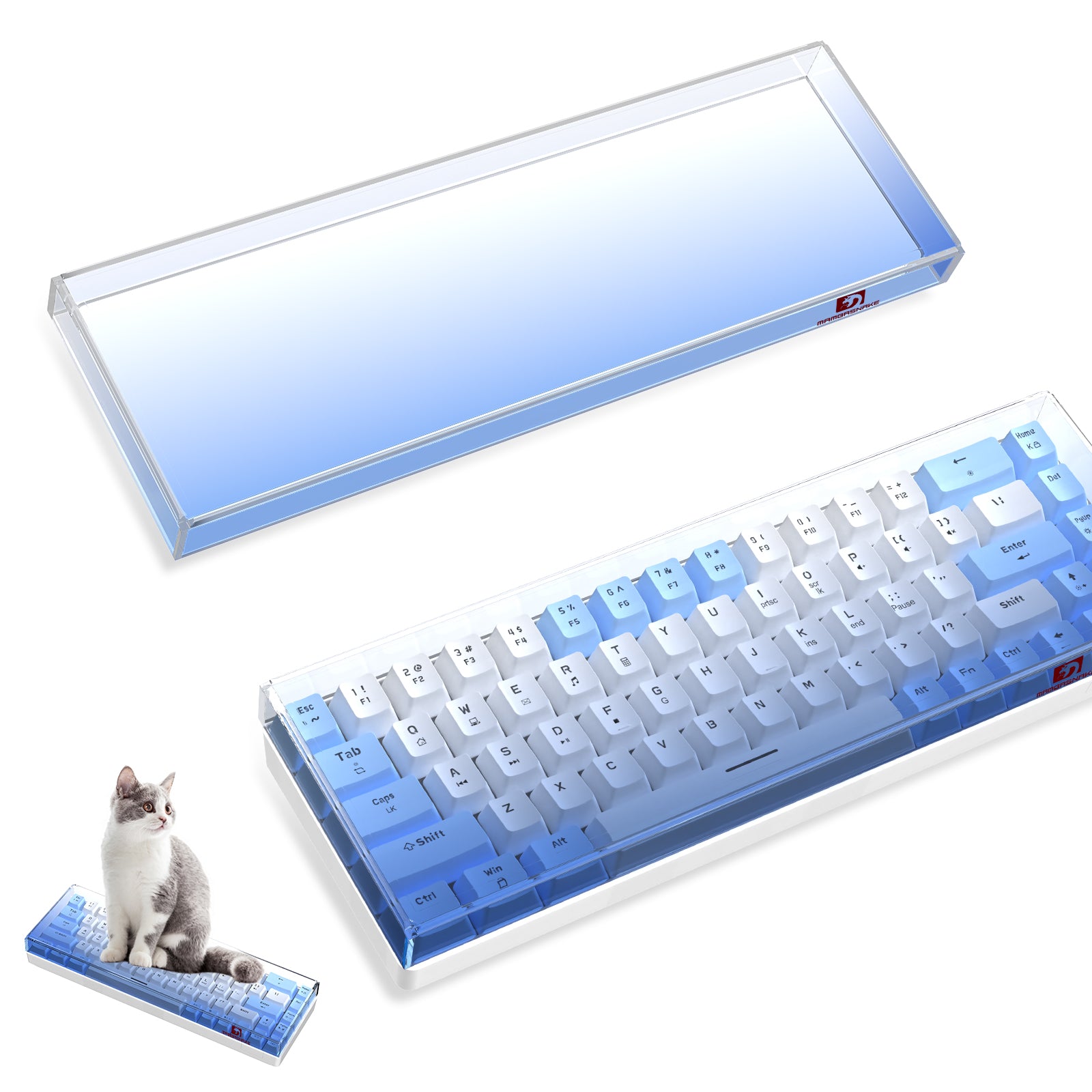 60% Fade Keyboard Cover | Dust-Proof & Hygienic Protection
