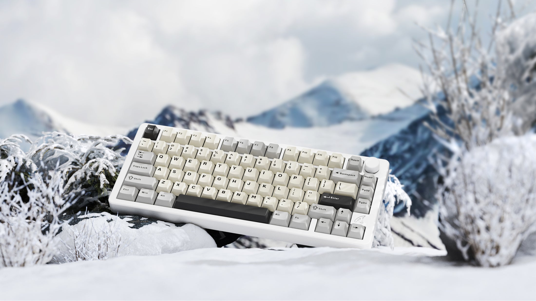 Attack Shark | Teclados, ratones, auriculares y accesorios premium para ...