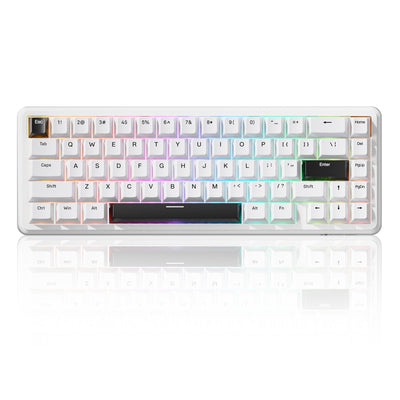 X65 HE: 65% Magnetic Gaming Keyboard with 8000Hz Response